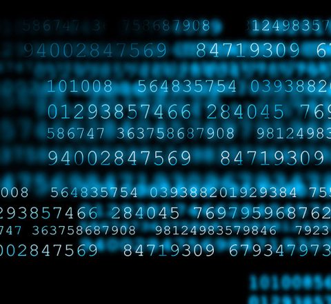 Corporate Screening and Investigative Group, LLC.